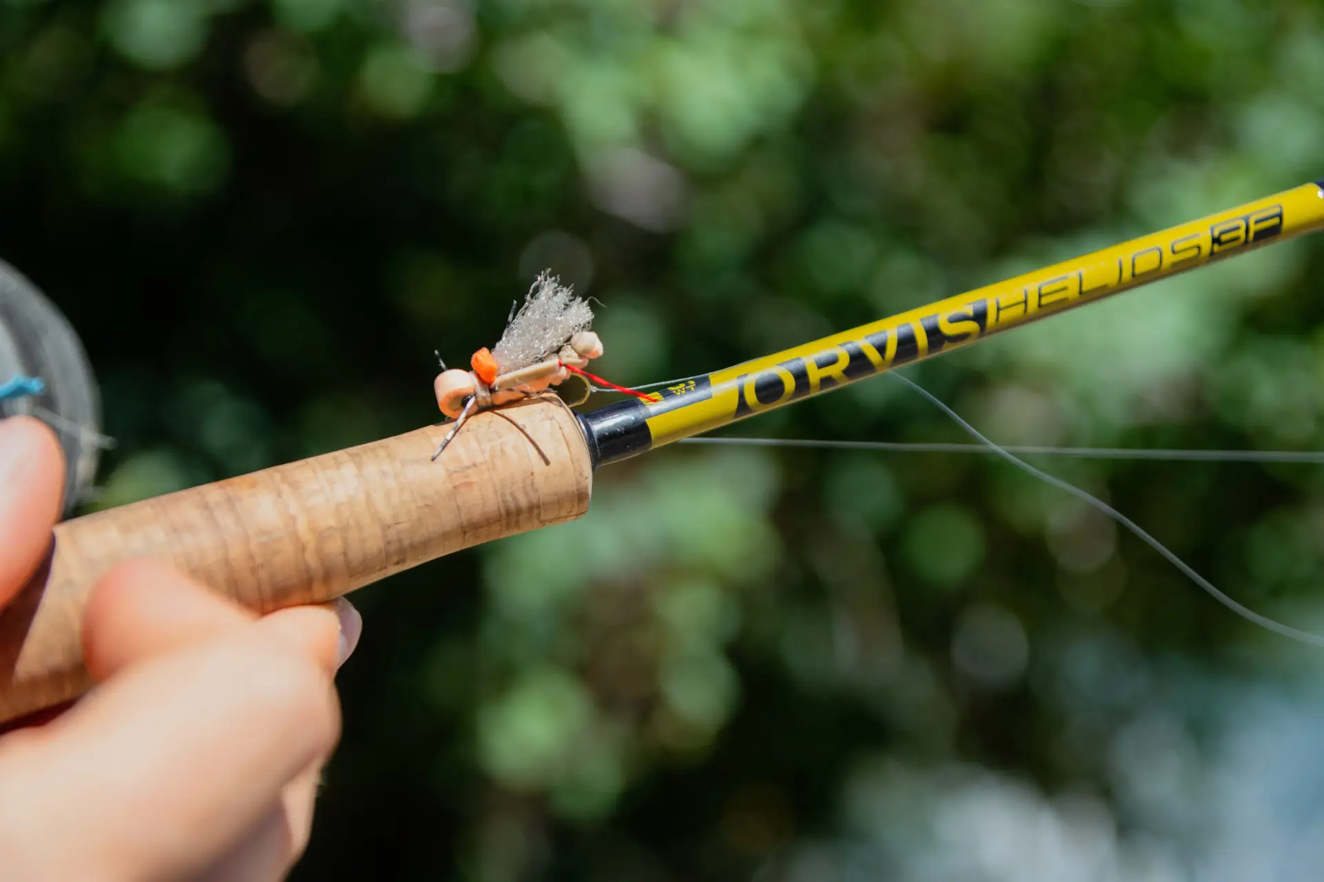 Tips for Fly Fishing Terrestrial Season - The Curious Angler