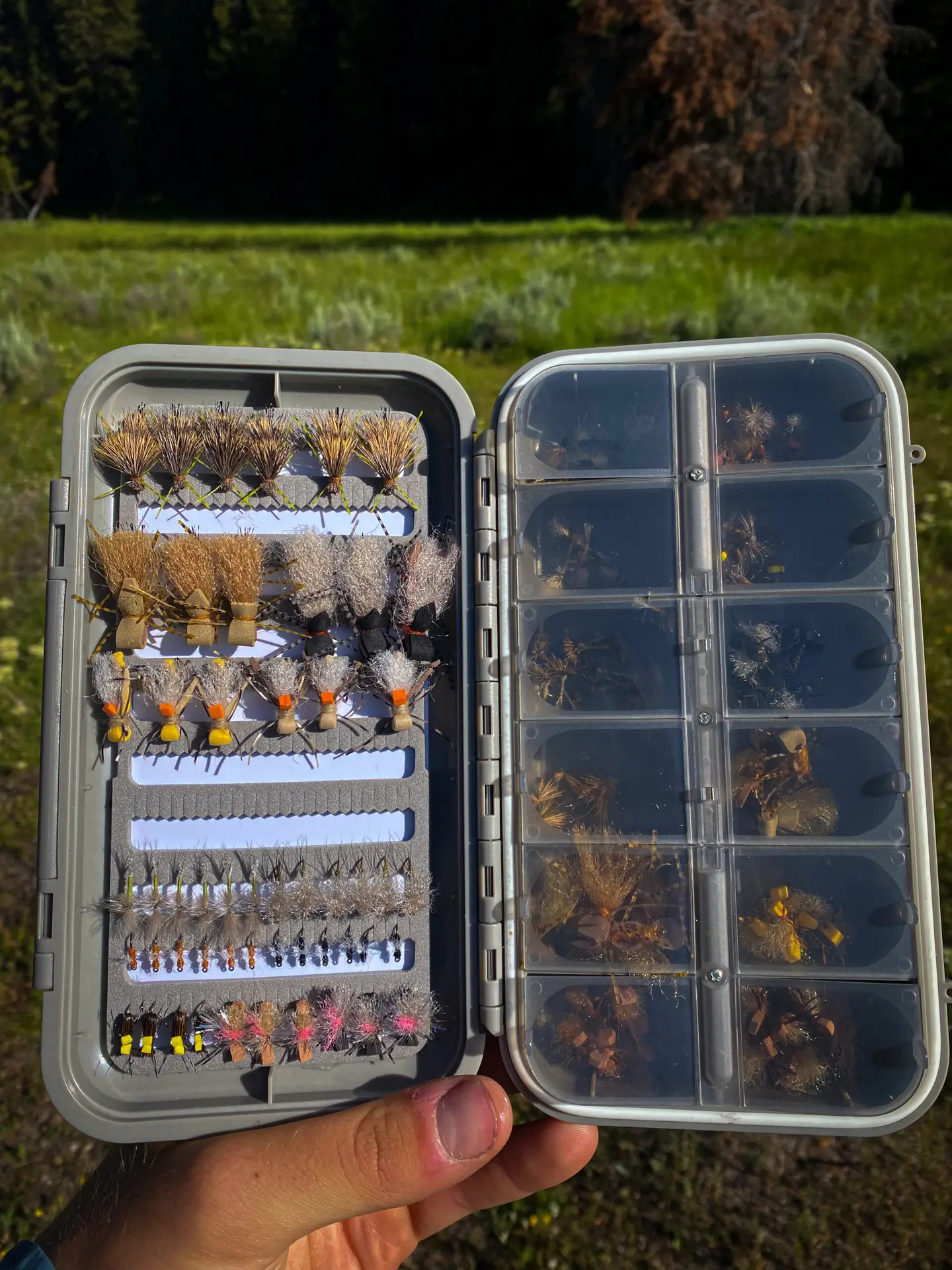 Best Flies for Fishing in Yellowstone National Park - The Curious Angler